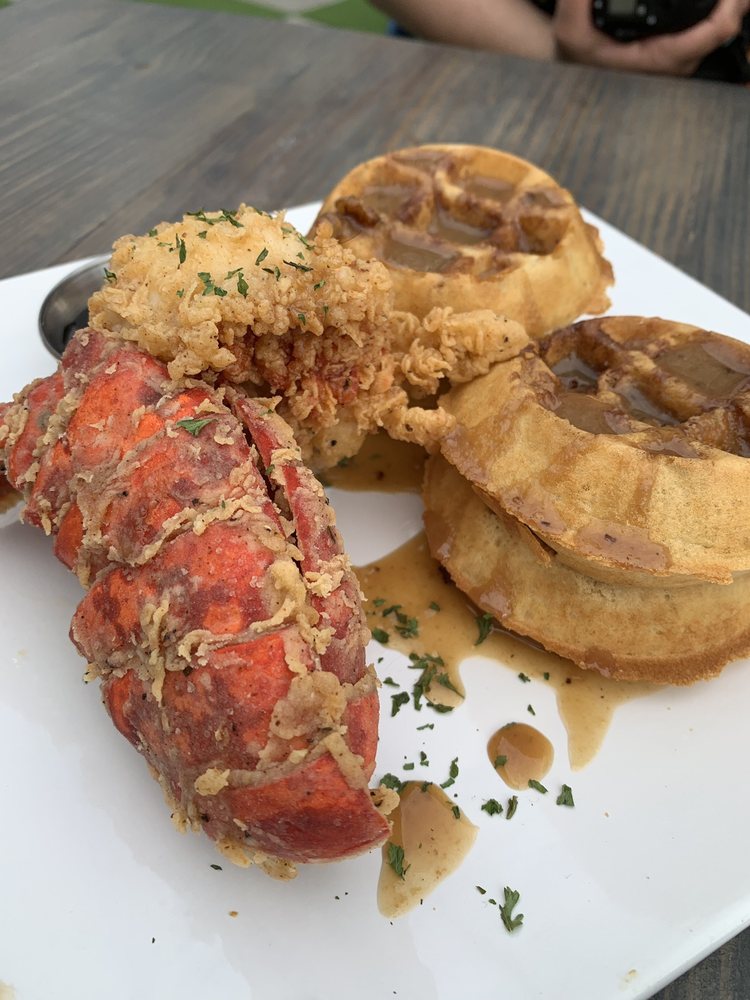 Taste Bar + Kitchen - Htown Diners